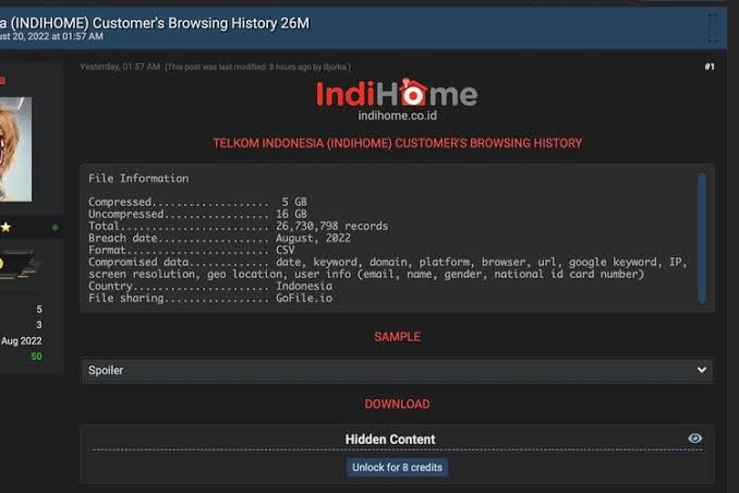Isu Kebocoran Data PLN Dan Indihome